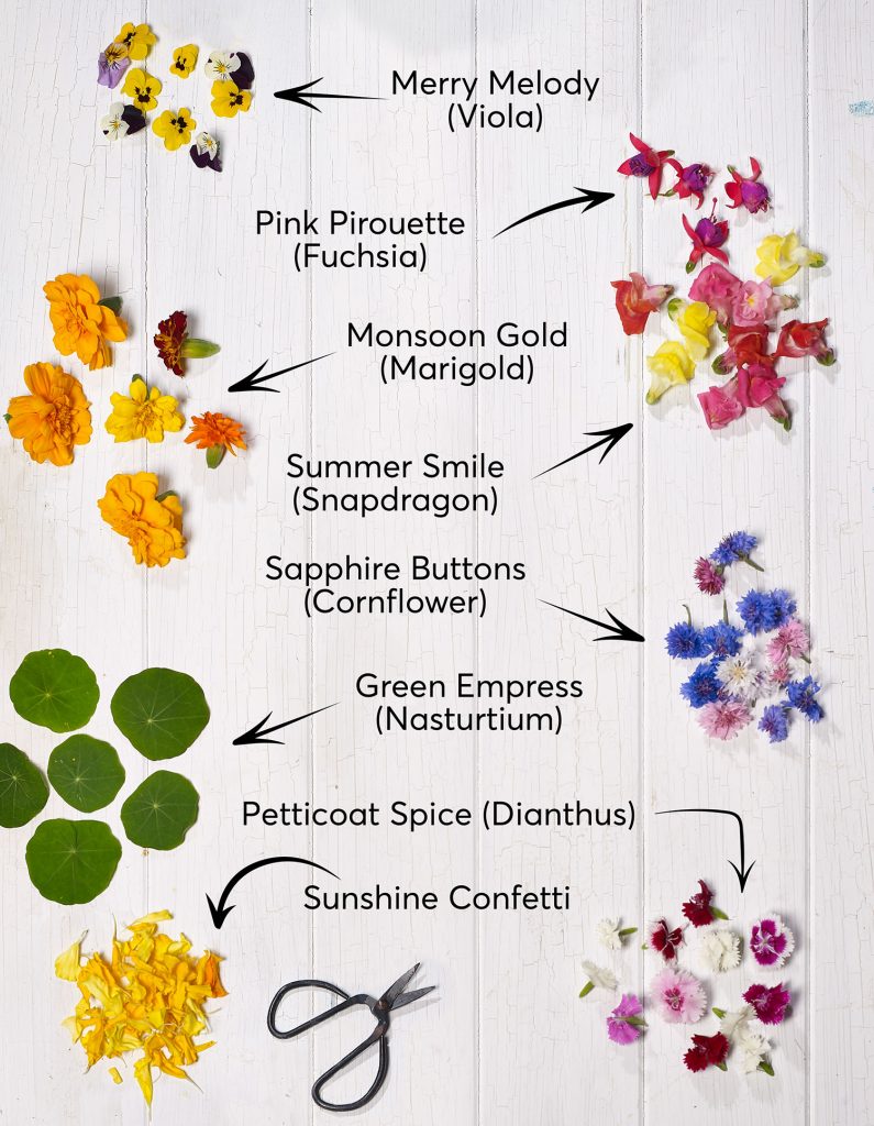 Flowerdale Farm: A Guide to Edible Flowers | Essentials Magazine Australia